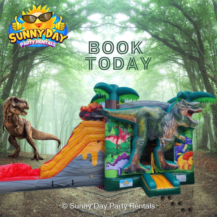 Water Slides - Hire in Fl | Sunny Day Party Rentals